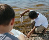 Child Rights Connect – A global child rights network connecting the ...